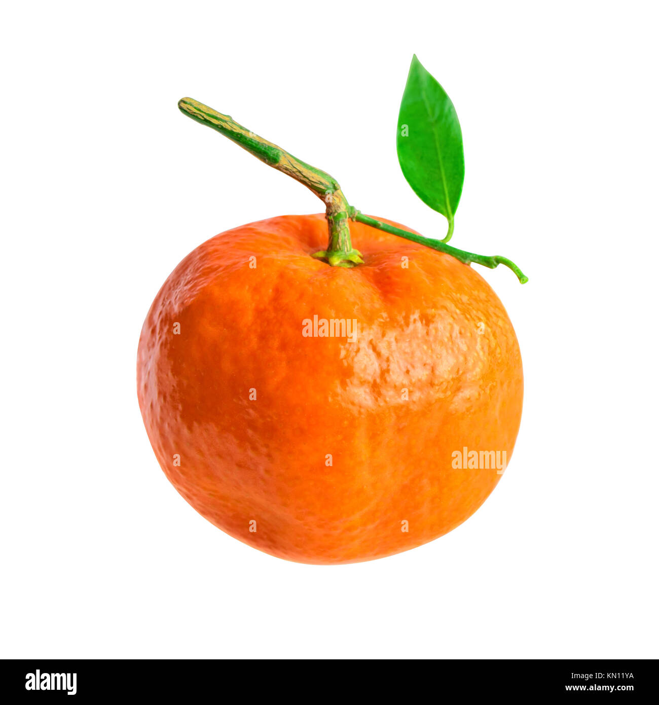 Mandarin orange isolated on white with clipping path. One tangerine in ...