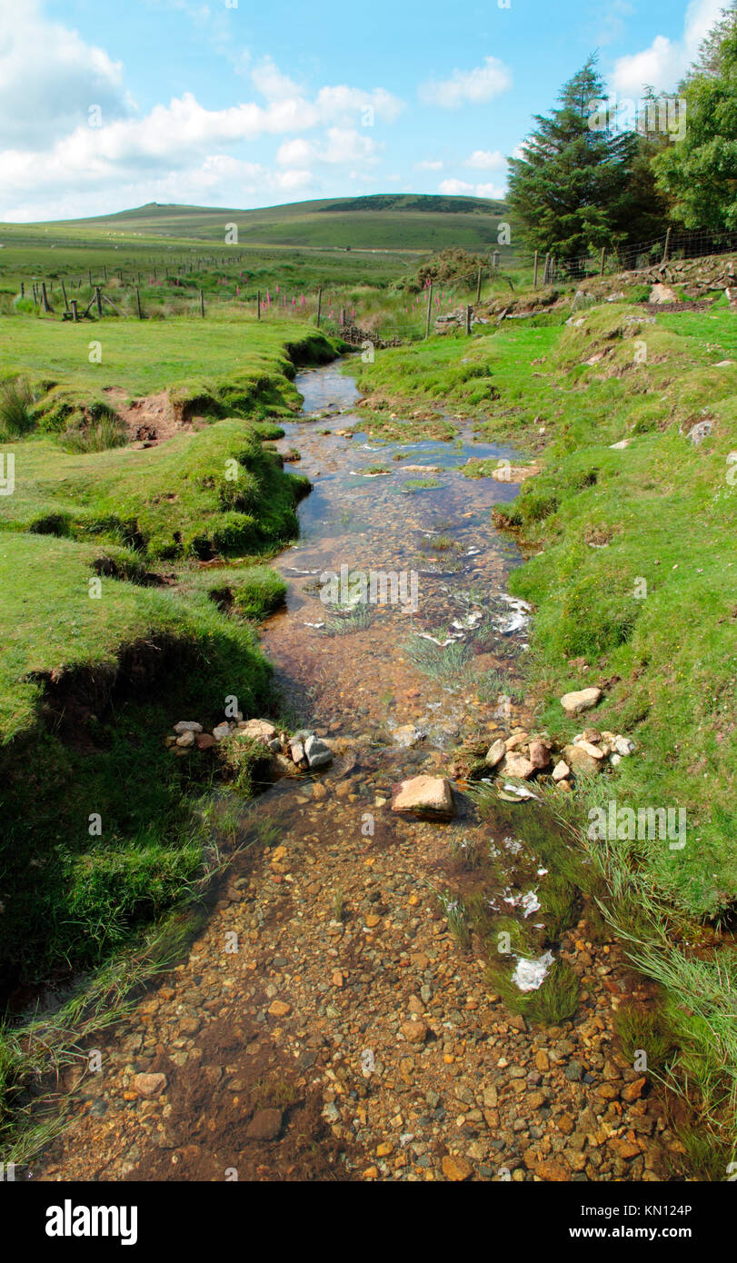 A stream at the base of Rough Tor on Bodmin Moor, Cornwall, England ...