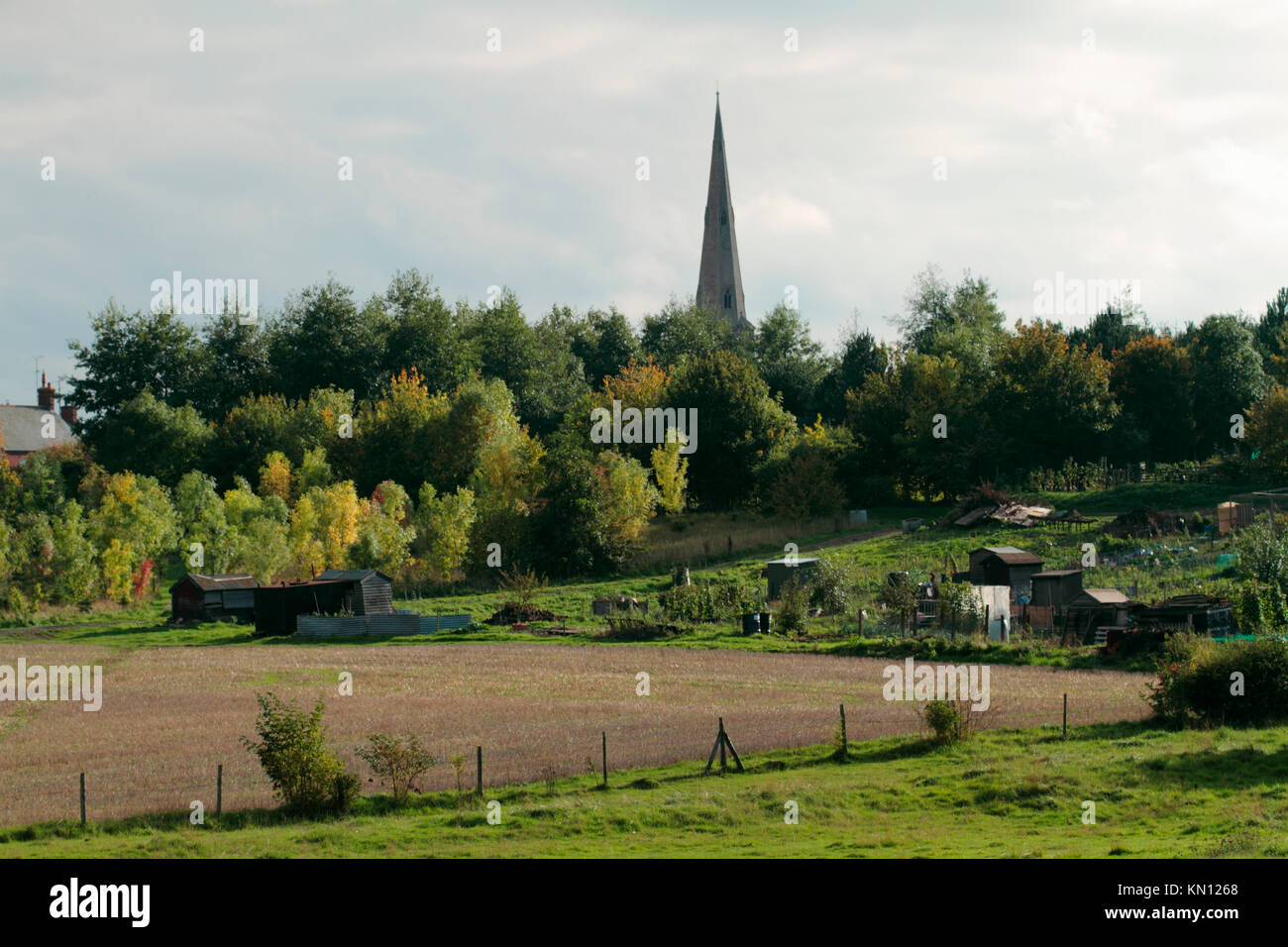 Fields, allotments and a church spire in the village of Irchester in ...