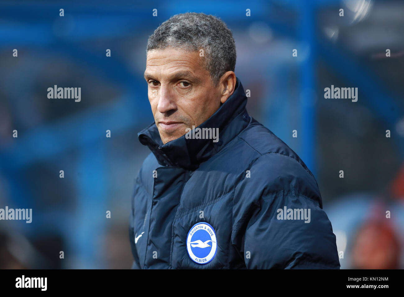 Brighton & Hove Albion manager Chris Hughton Stock Photo - Alamy