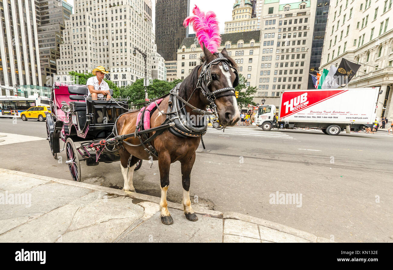 Horse drawn carriage intersection hi-res stock photography and images ...