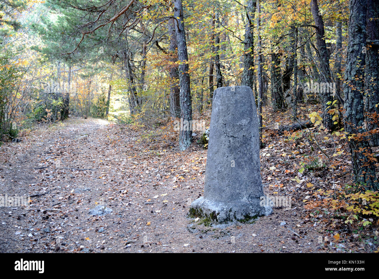 Roman mile marker hi-res stock photography and images - Alamy