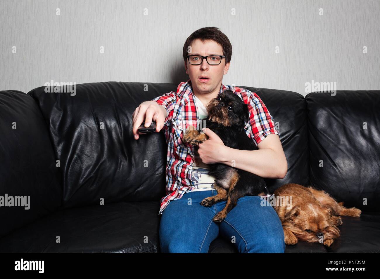Dog watching tv commercial hi-res stock photography and images - Alamy