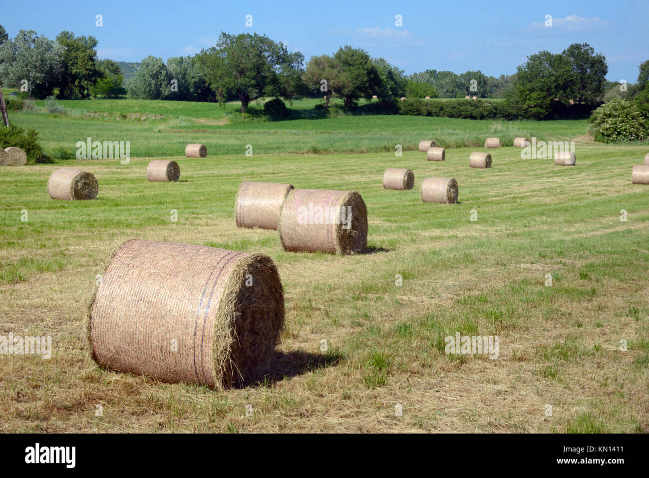 Regional fields hi-res stock photography and images - Alamy