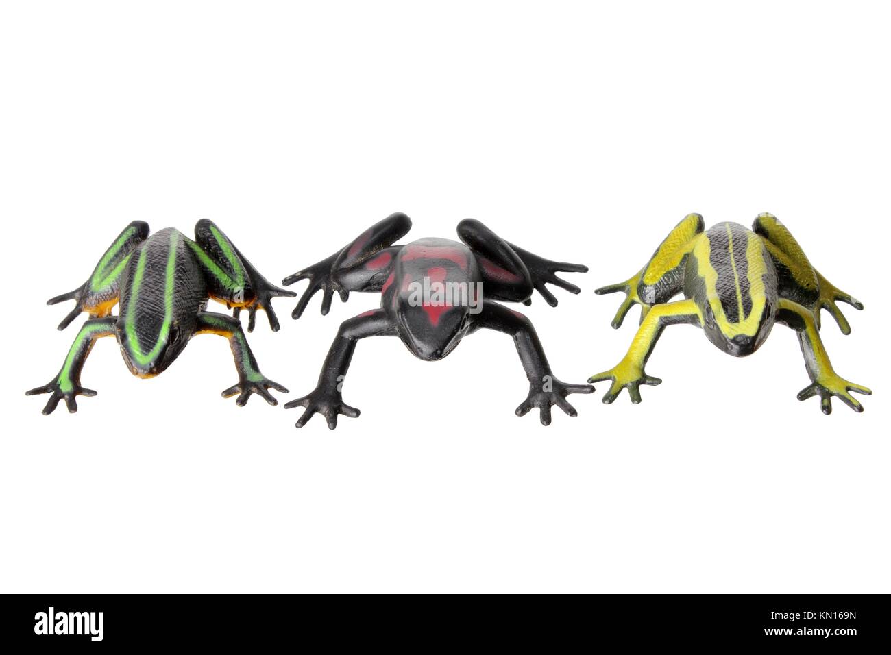 Frogs on White Background Stock Photo - Alamy