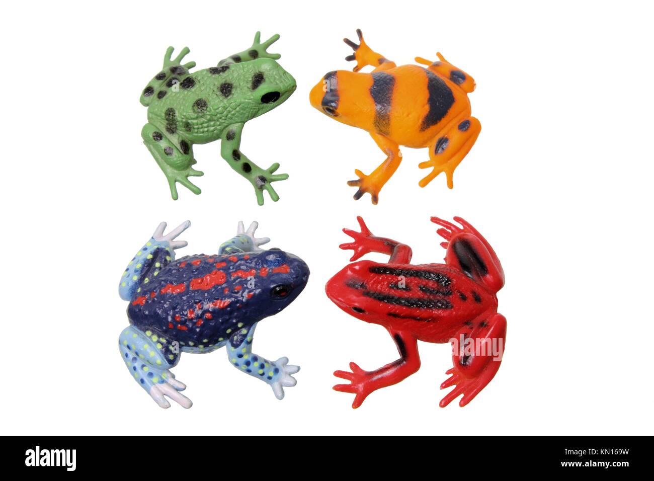 Rainforest frogs Cut Out Stock Images & Pictures - Alamy