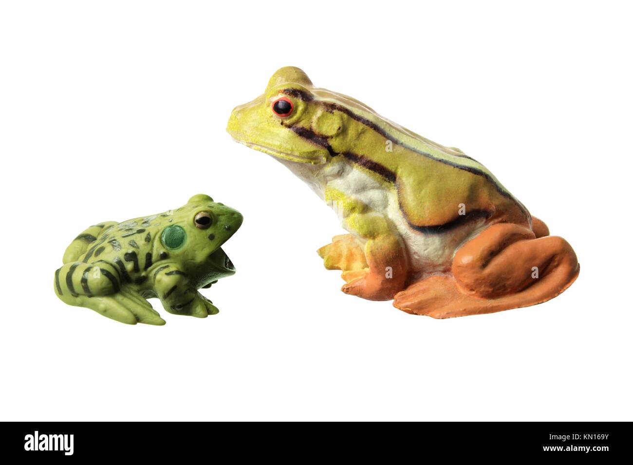 Frogs on White Background Stock Photo - Alamy
