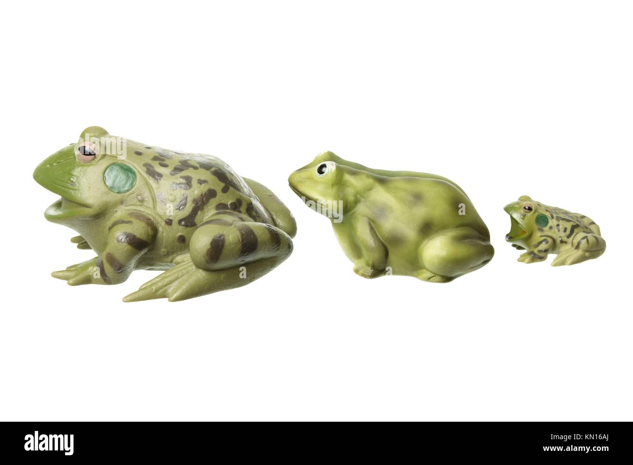Frogs on White Background Stock Photo - Alamy