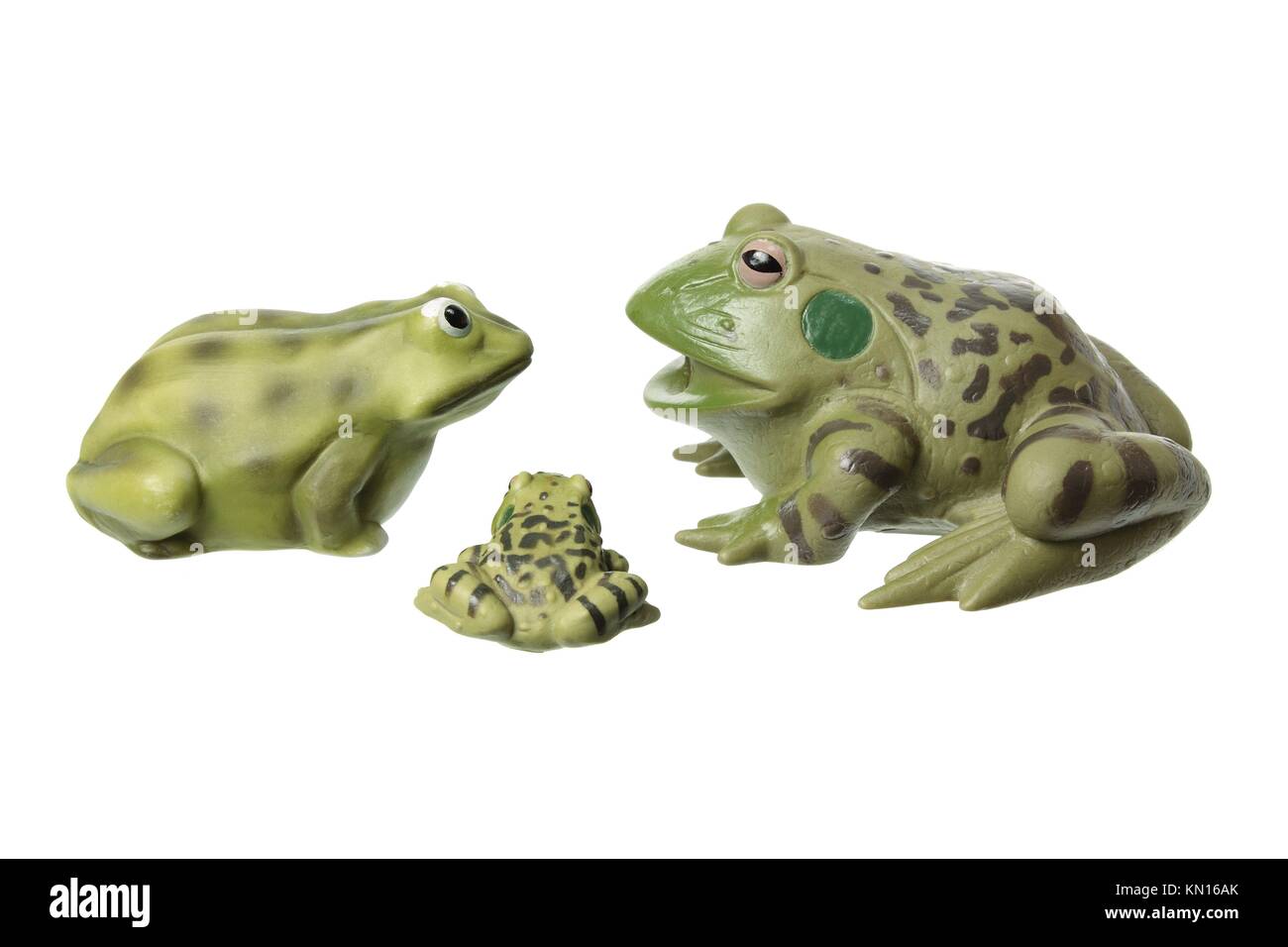 Frogs on White Background Stock Photo - Alamy