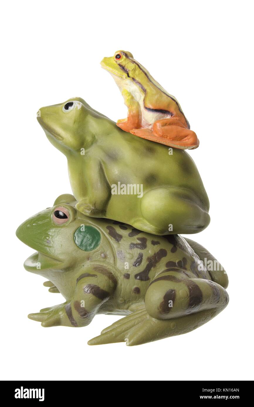 Rainforest frogs Cut Out Stock Images & Pictures - Alamy