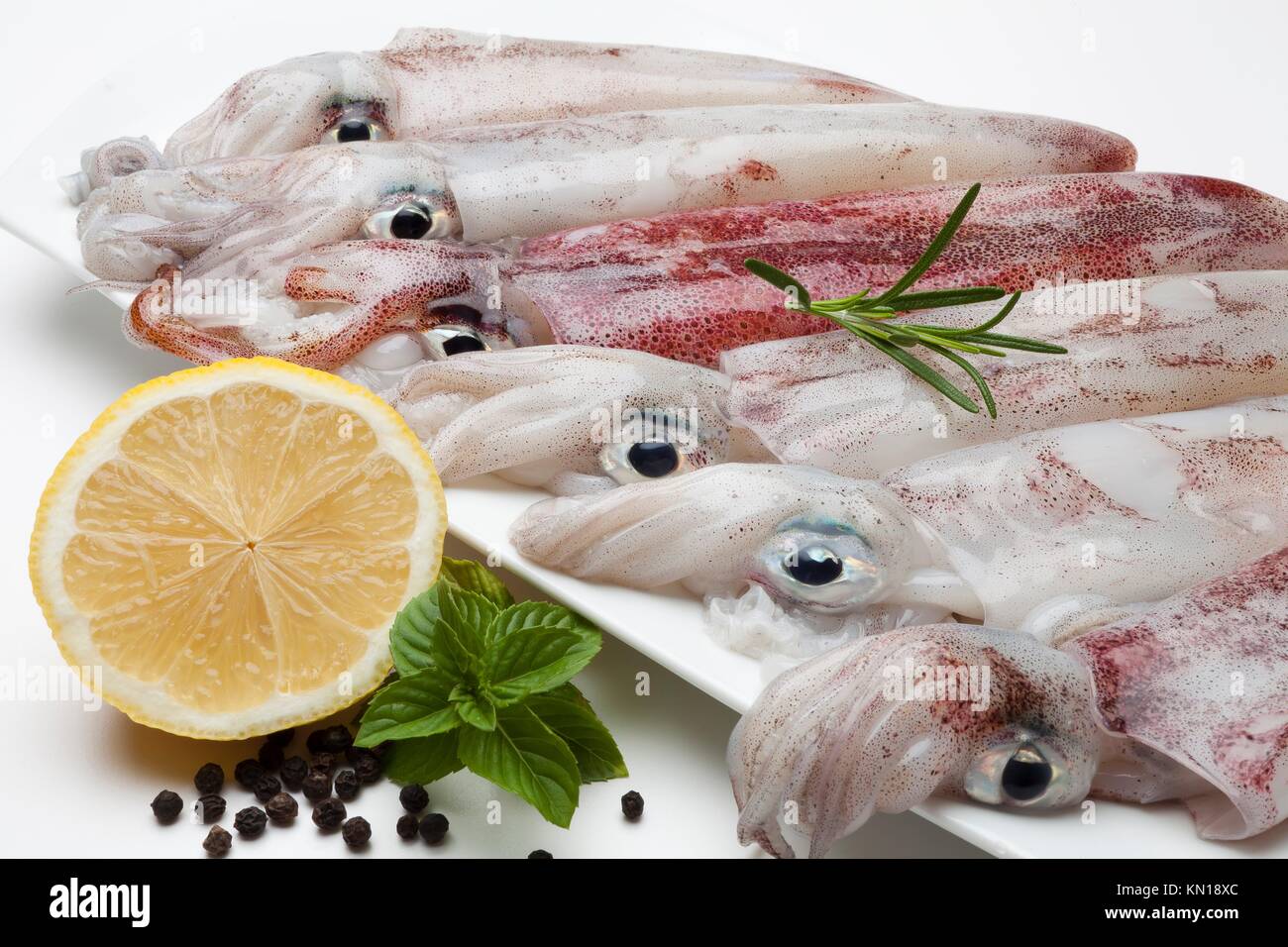 freshly caught squid Stock Photo - Alamy