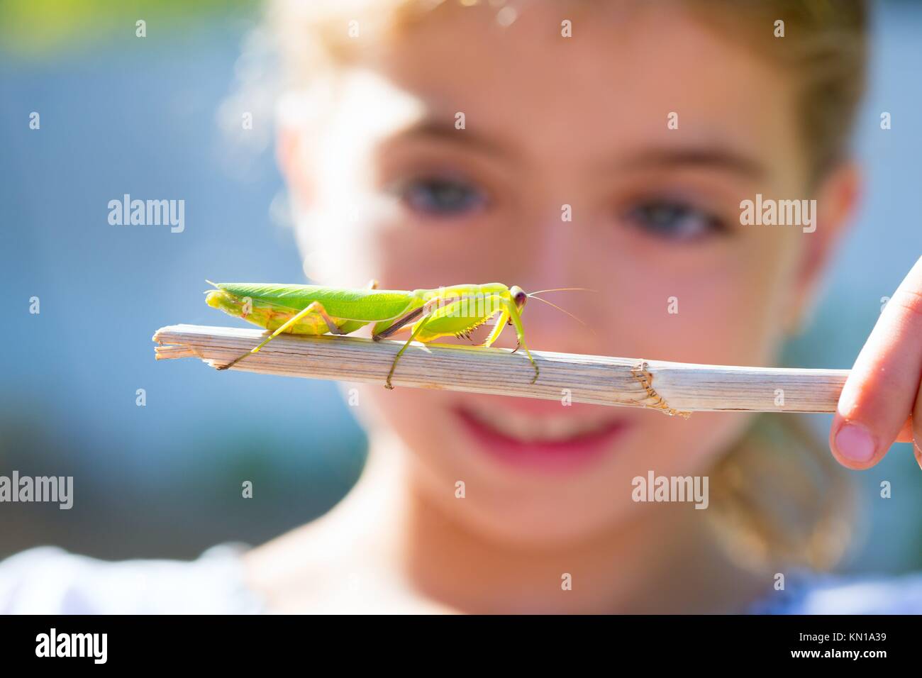 Child holding mantis hi-res stock photography and images - Alamy