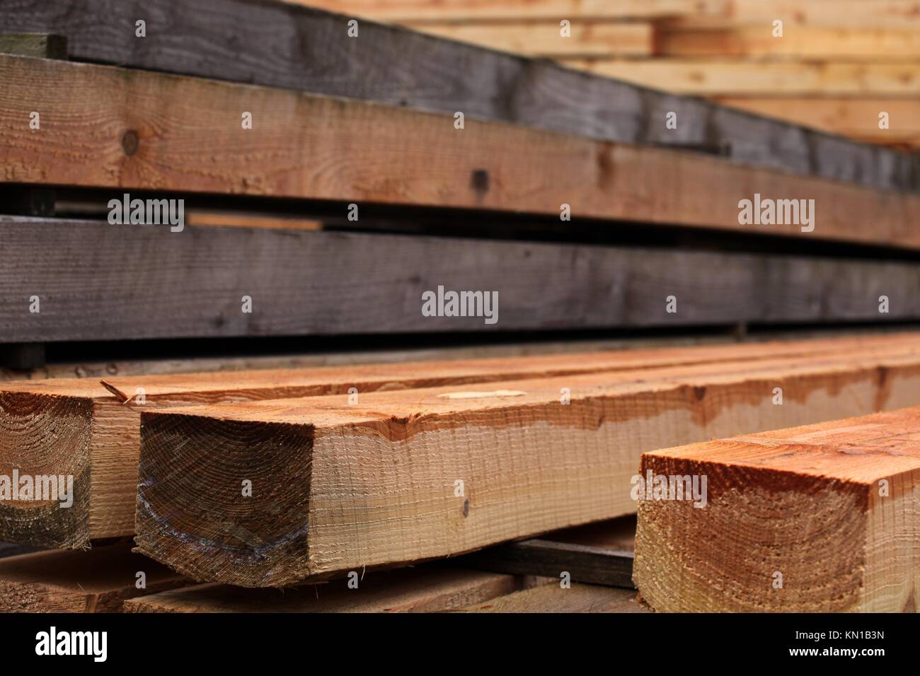 Stack of douglas timber at the sawmill Stock Photo - Alamy