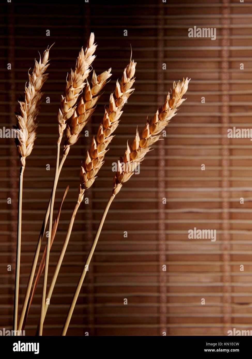 Beautiful still life decorative pin Stock Photo - Alamy