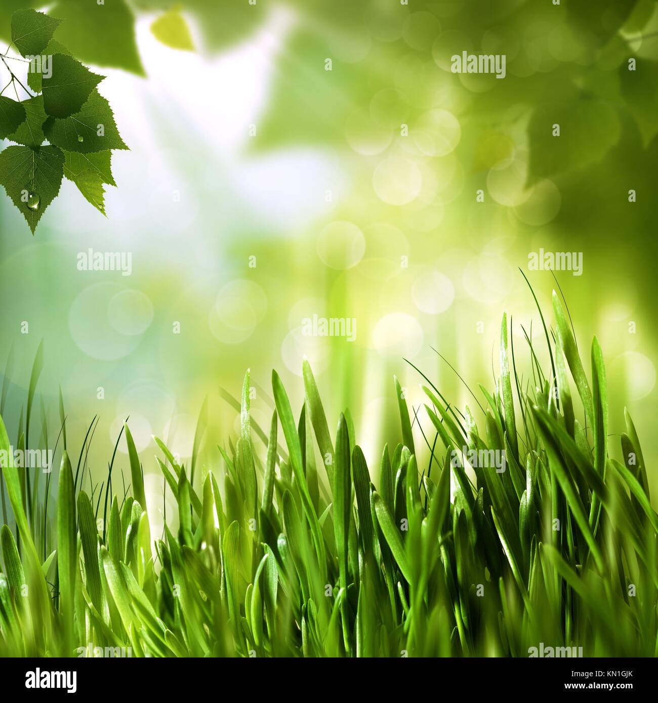 Green world, abstract environmental backgrounds for your design Stock ...