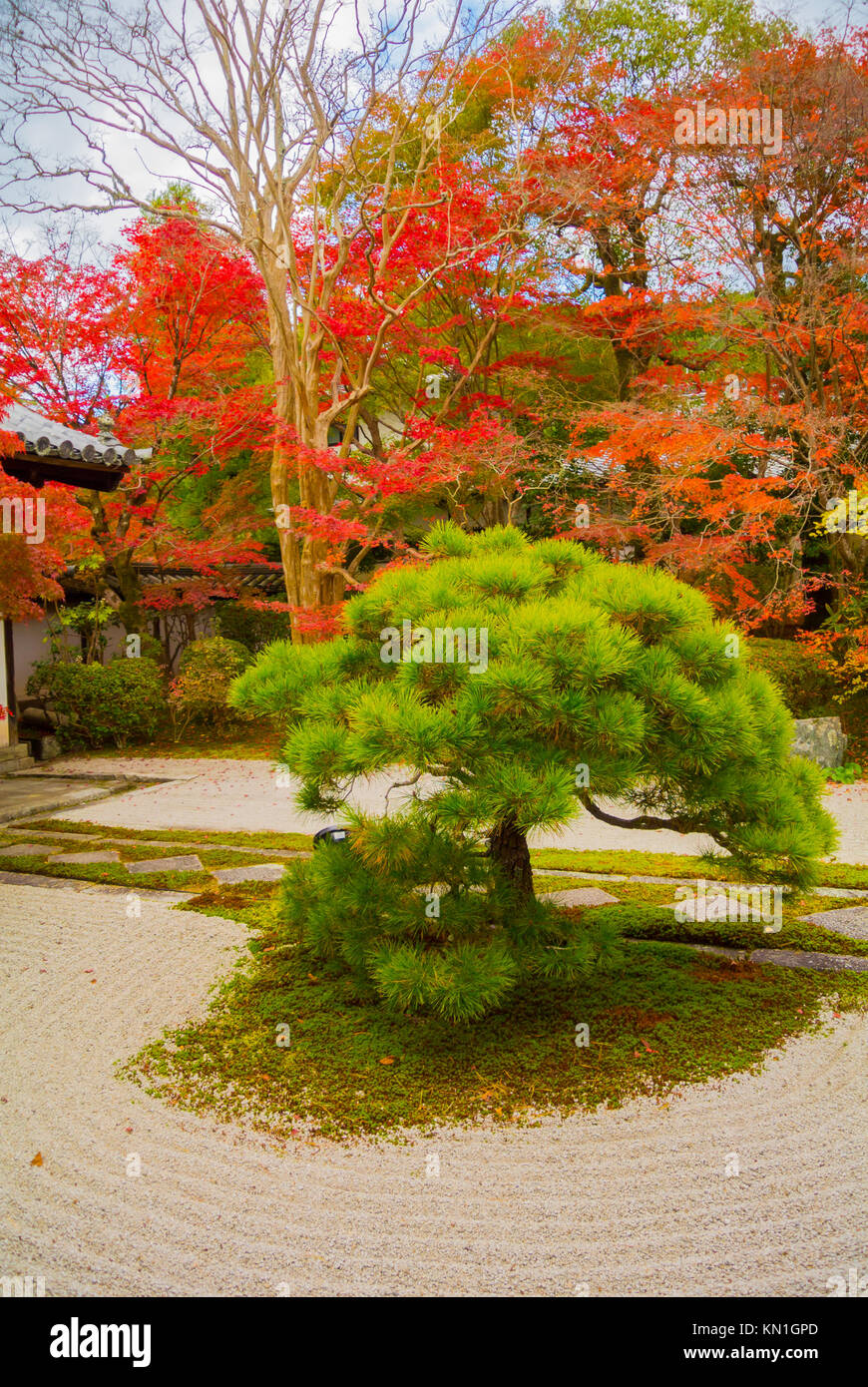 Beautiful red colored japanese hi-res stock photography and images - Alamy