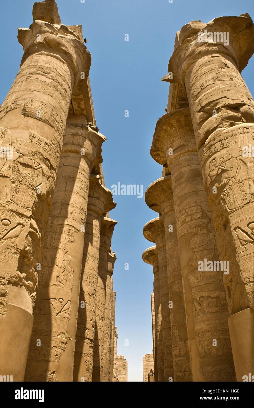 Open lotus columns Stock Photo - Alamy