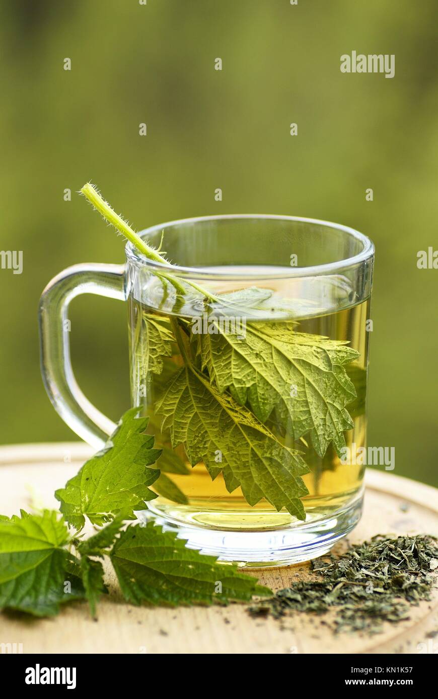 Nettle tea drink hi-res stock photography and images - Alamy