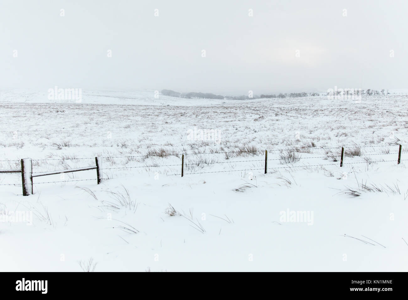 Divis mountain walk hi-res stock photography and images - Alamy