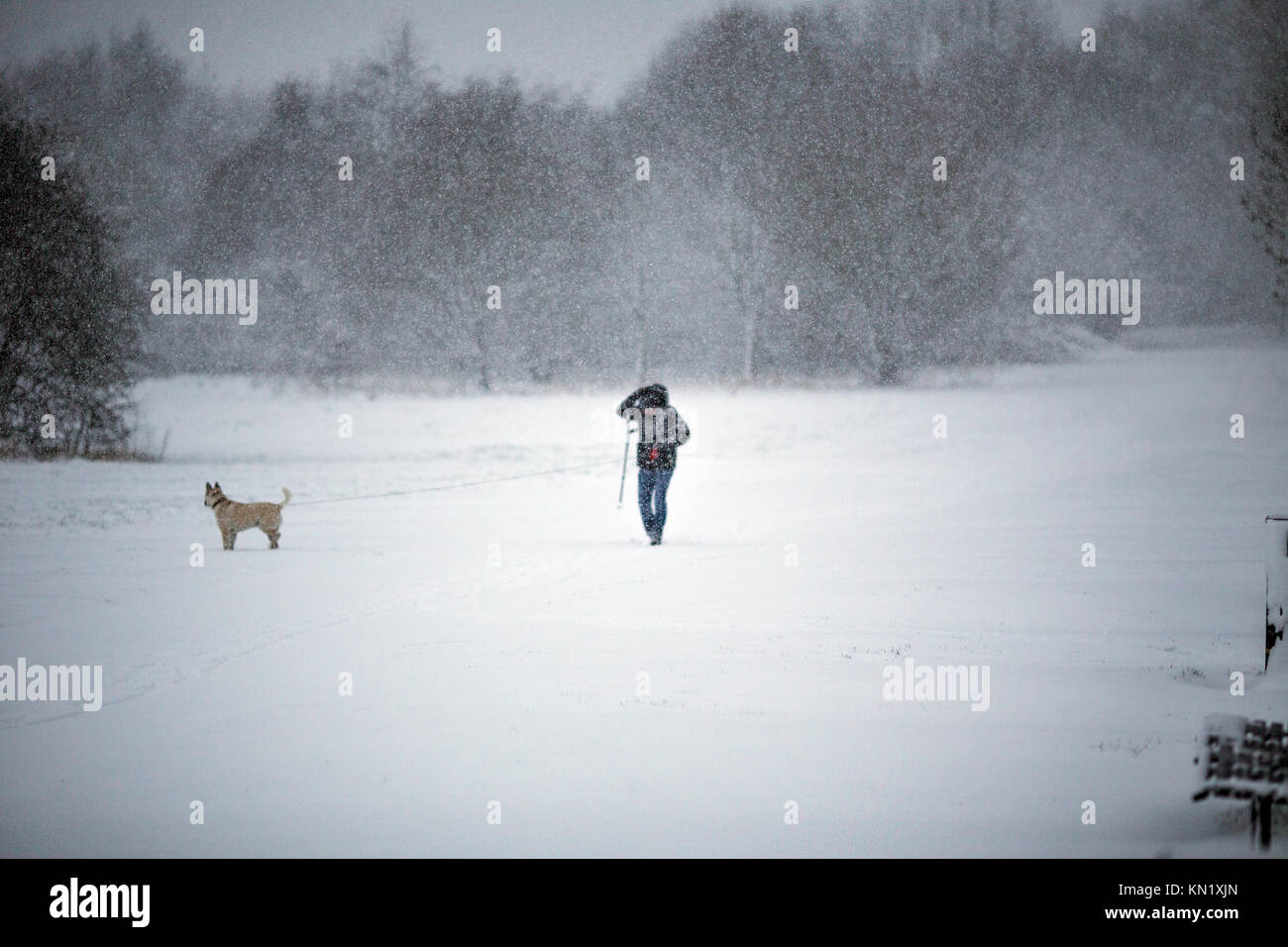 Birmingham, UK. 10th Dec, 2017. Snow, Birmingham, Sheldon Country Park ...