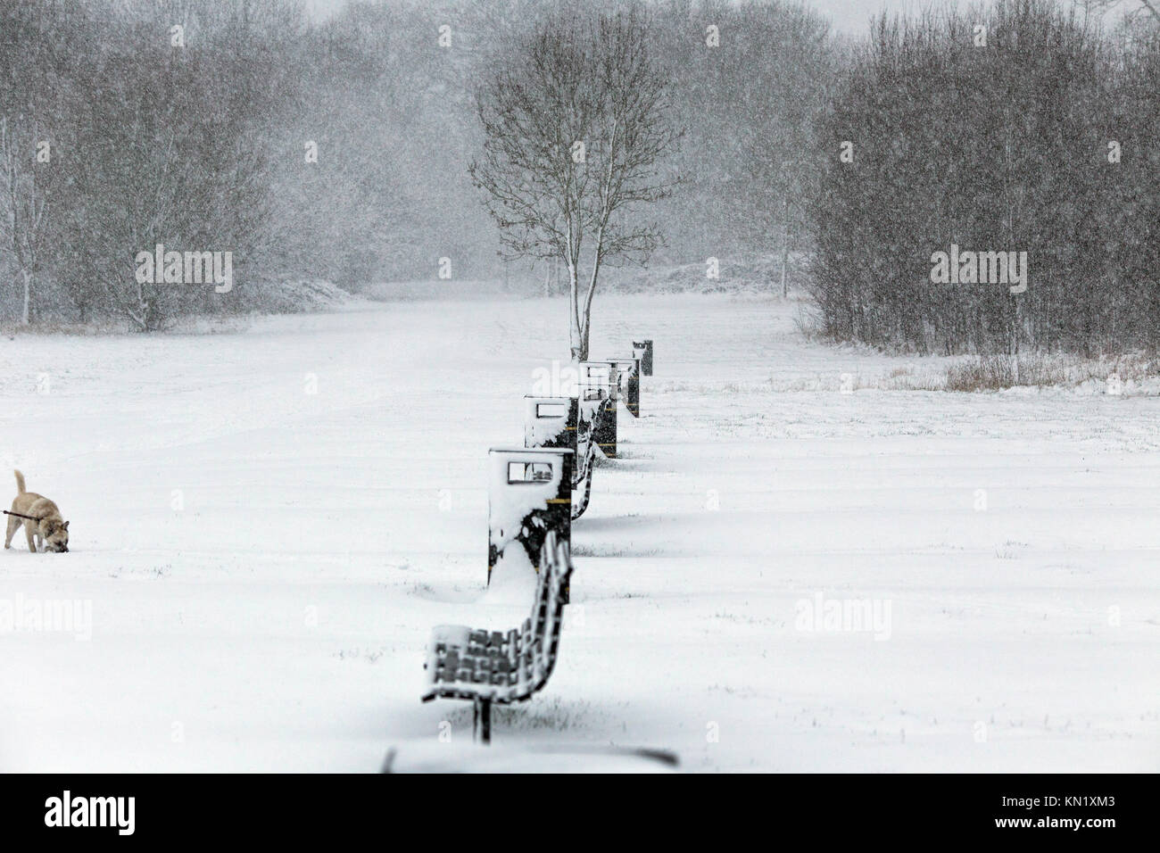 Birmingham, UK. 10th Dec, 2017. Snow, Birmingham, Sheldon Country Park ...