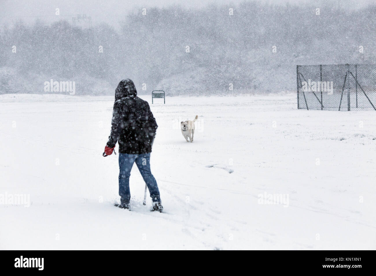 Birmingham, UK. 10th Dec, 2017. Snow, Birmingham, Sheldon Country Park ...