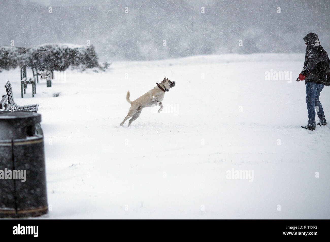 Birmingham, UK. 10th Dec, 2017. Snow, Birmingham, Sheldon Country Park ...
