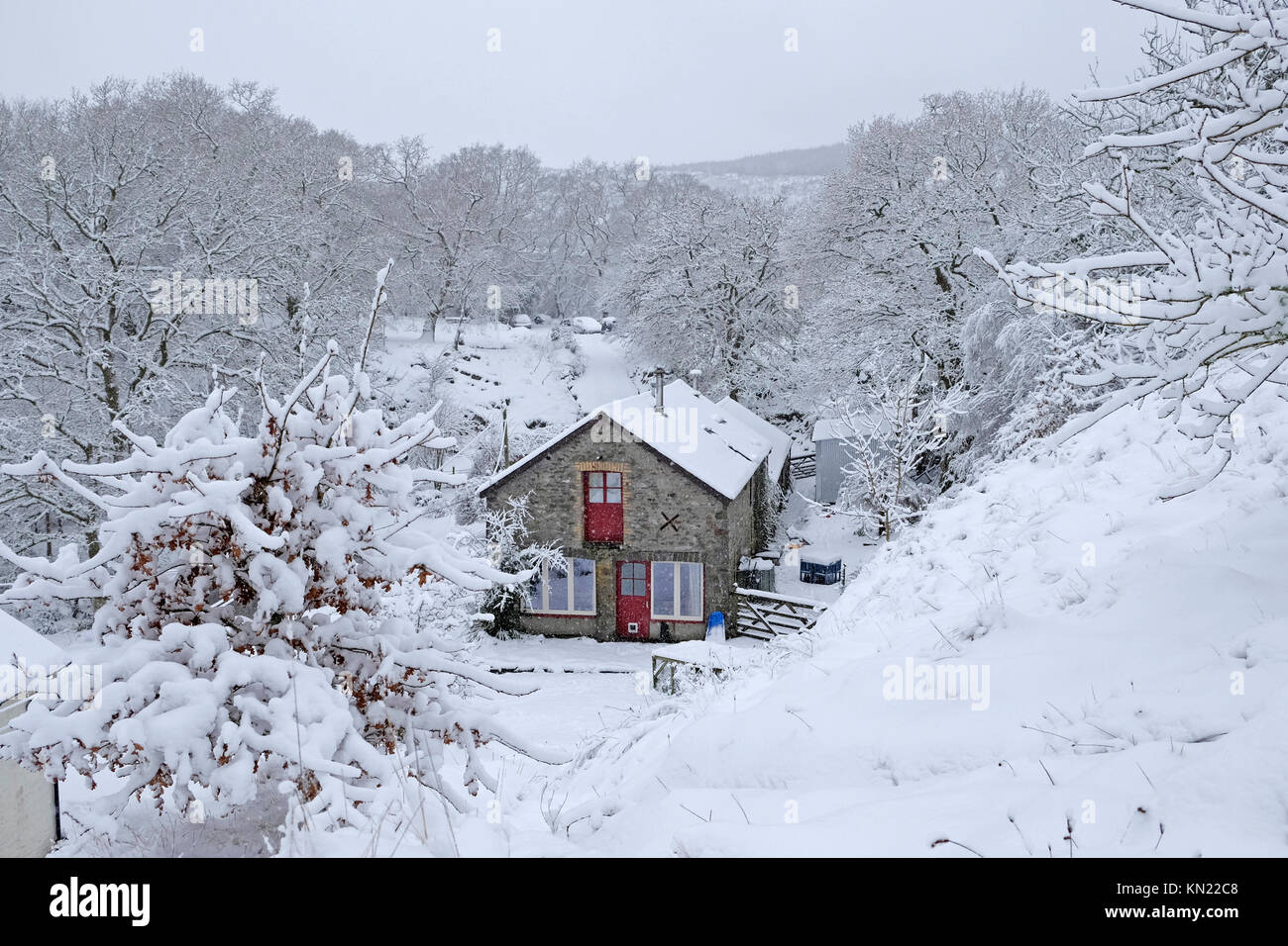 Winter scene in snow and pretty stone cottage house surrounded by trees ...