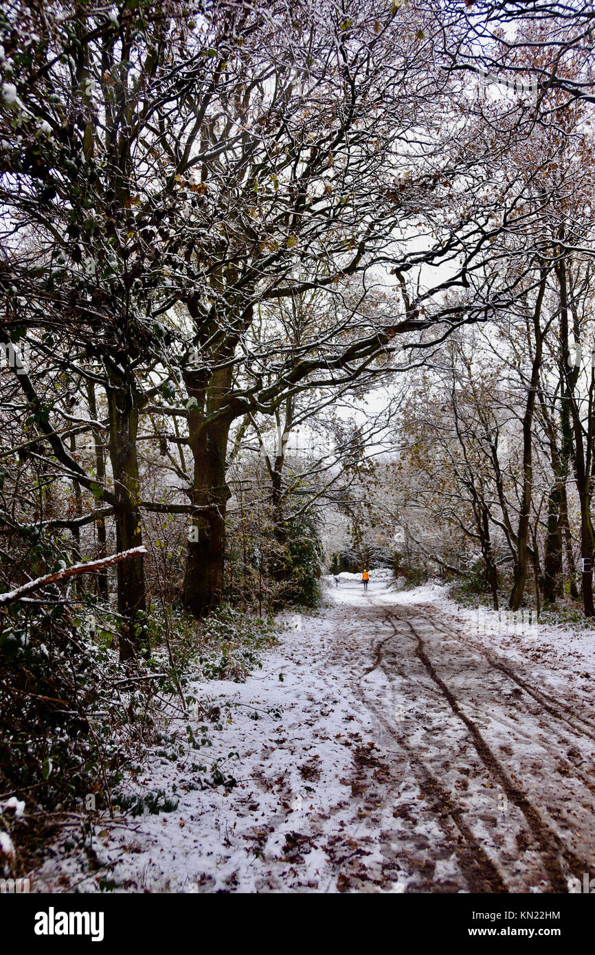 Suffolk uk winter tree hi-res stock photography and images - Alamy