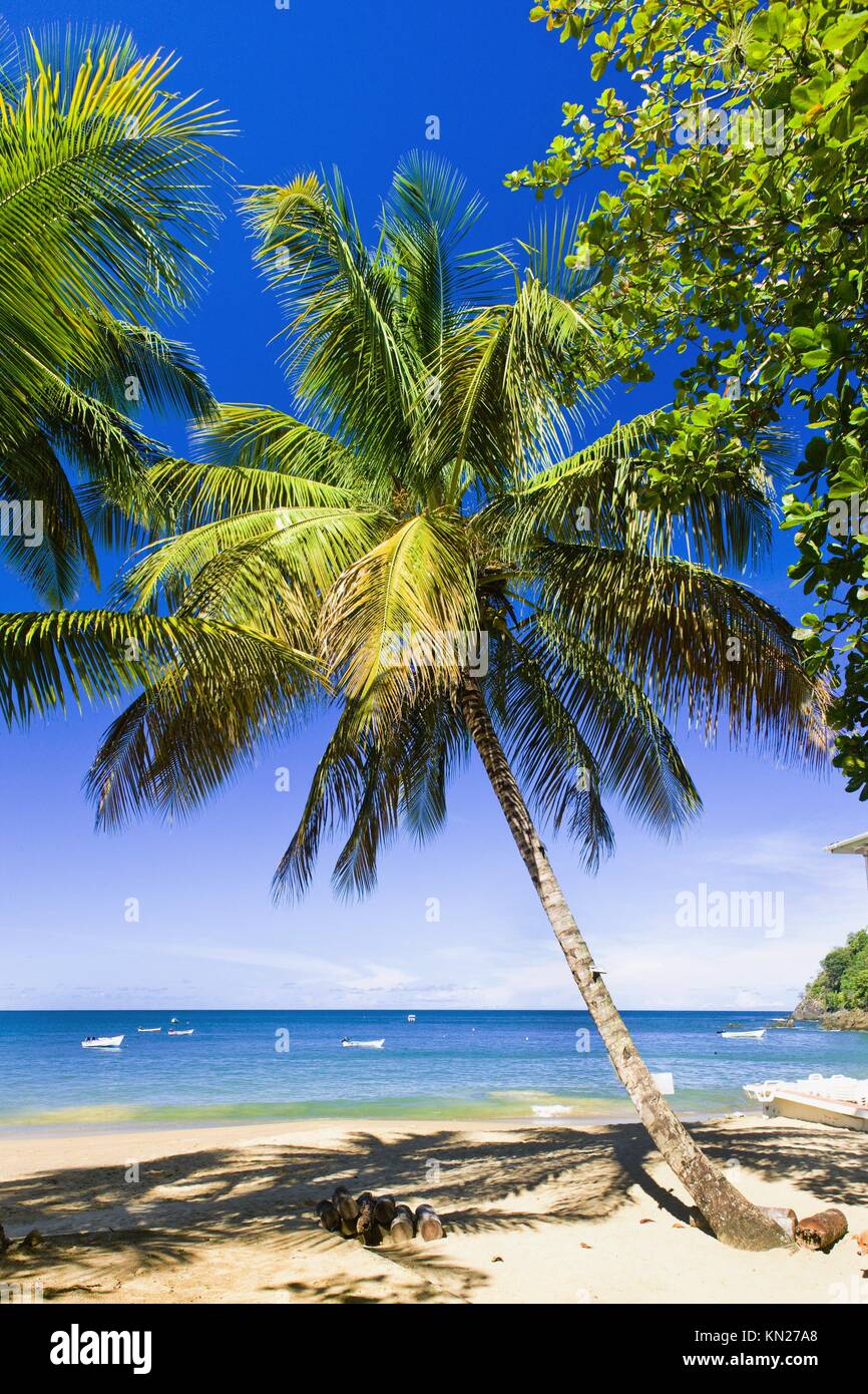 Castara Bay, Tobago Stock Photo - Alamy
