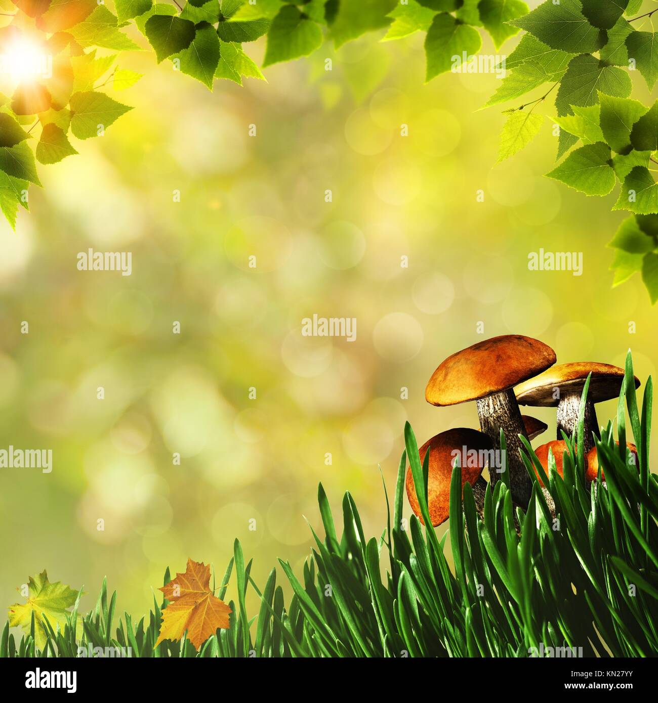 Beauty natural backgrounds for your design Stock Photo - Alamy