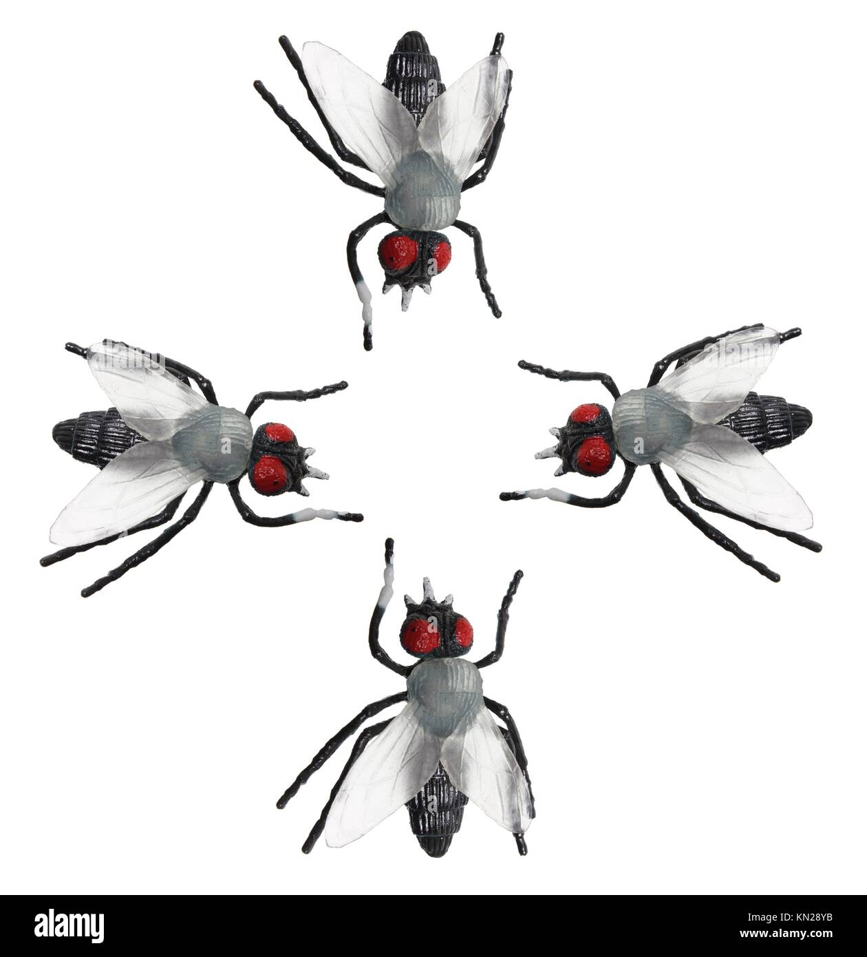 Toy flies Cut Out Stock Images & Pictures - Alamy