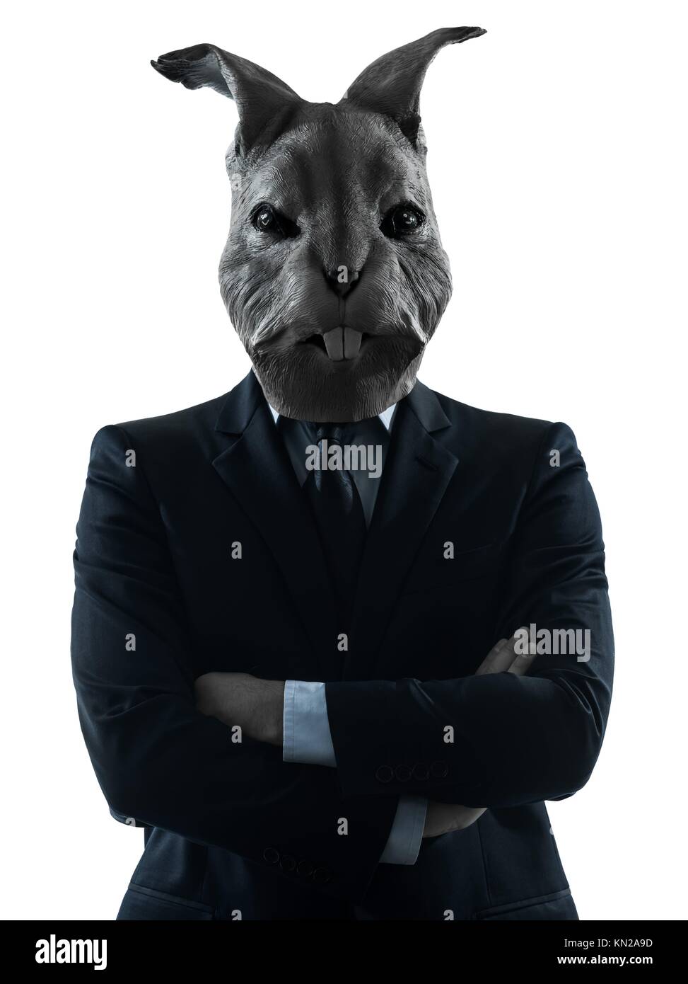 one causasian man rabbit mask portrait in silhouette studio isolated on ...