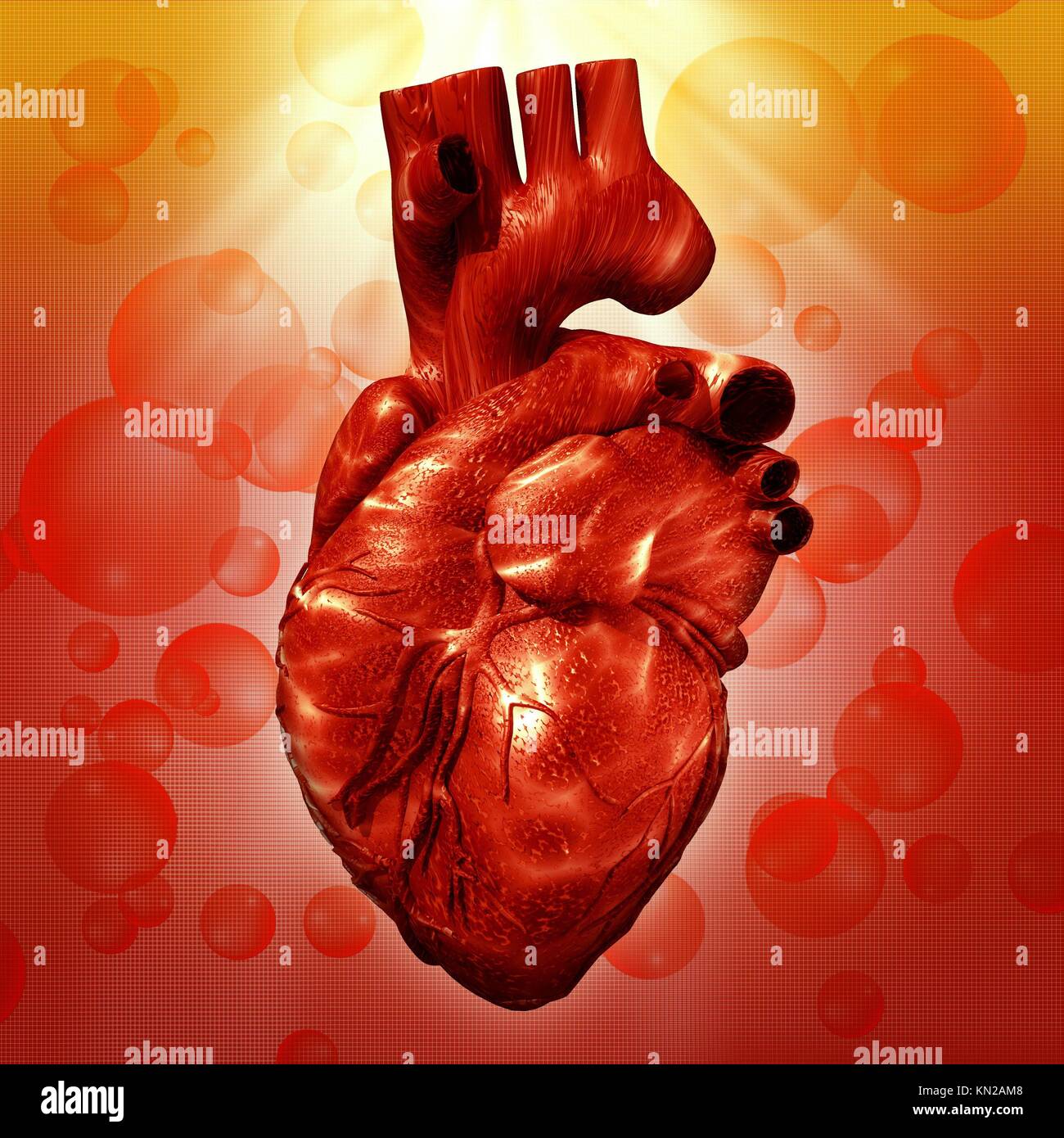 Human Heart Abstract medical backgrounds for your design Stock Photo ...
