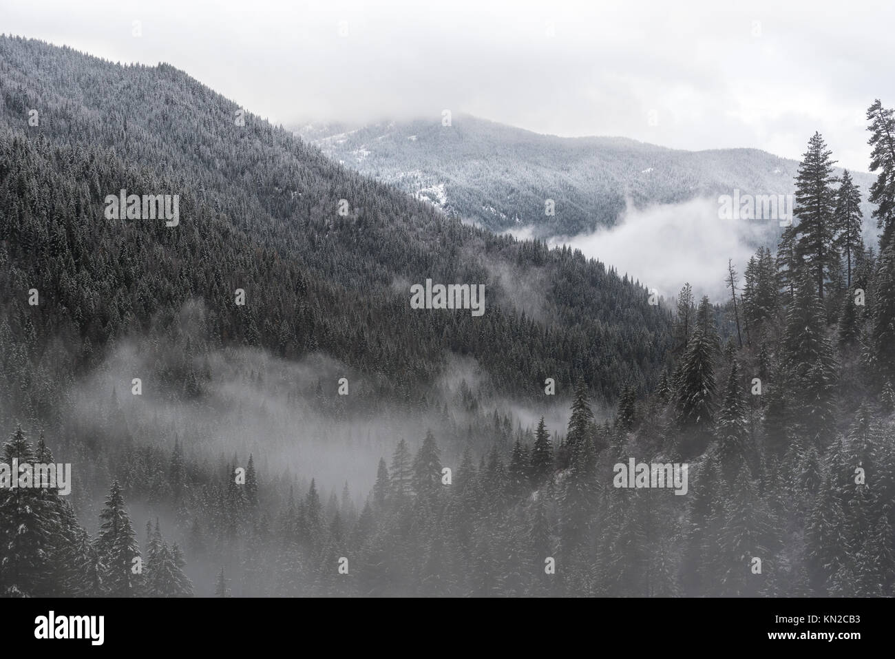 Bitterroot mountains hi-res stock photography and images - Alamy