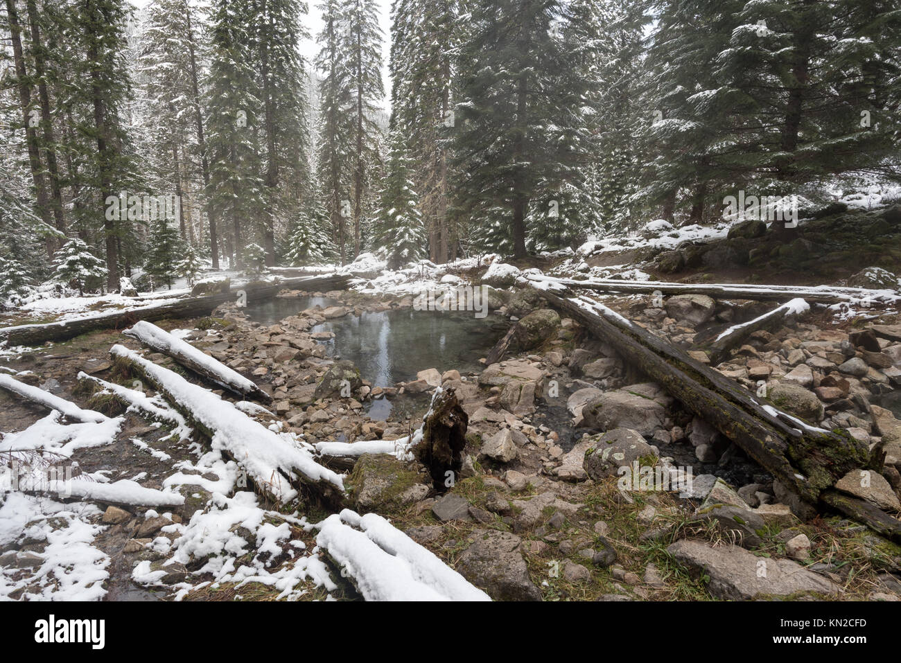 Stanley Hot Springs in Idaho's Selway - Bitterroot Wilderness Area ...