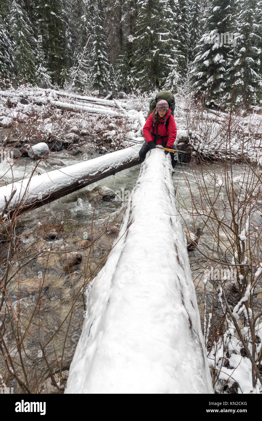 Log crossing stream hi-res stock photography and images - Alamy