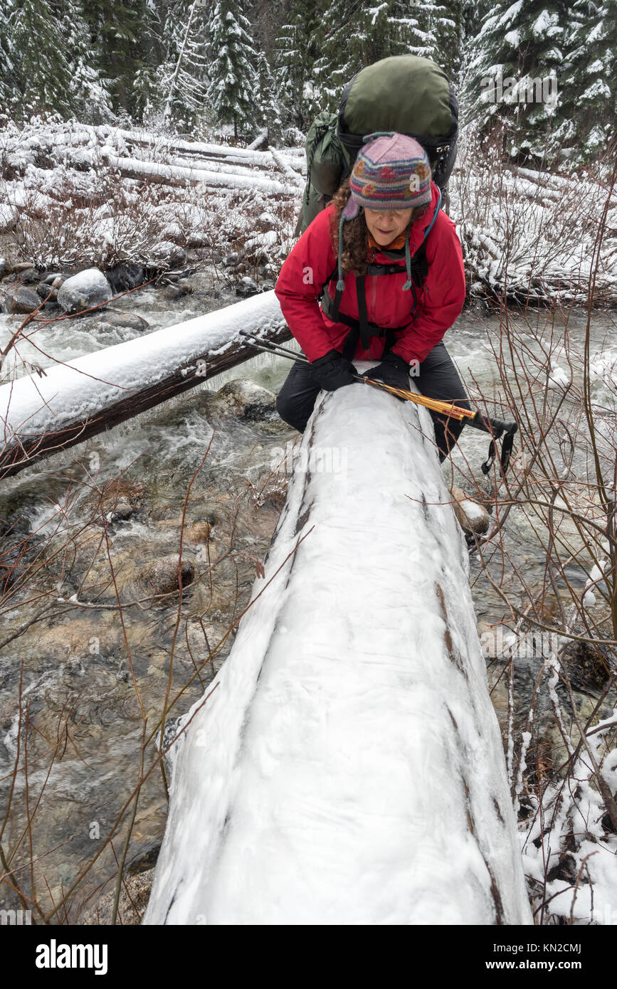 Log crossing stream hi-res stock photography and images - Alamy