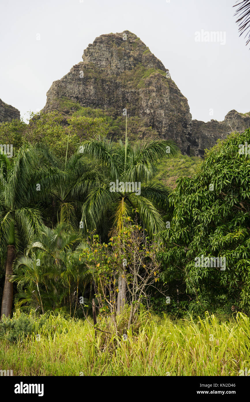Kalalea Mountain in Anahola, Kaua'i, Hawai'i Stock Photo - Alamy