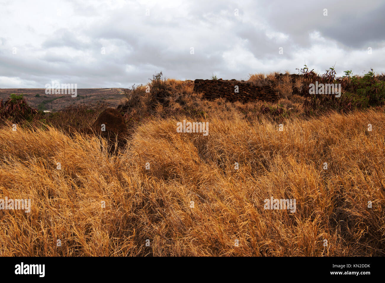 Remnants of the Russian Fort Elizabeth in Waimea, which was built ...