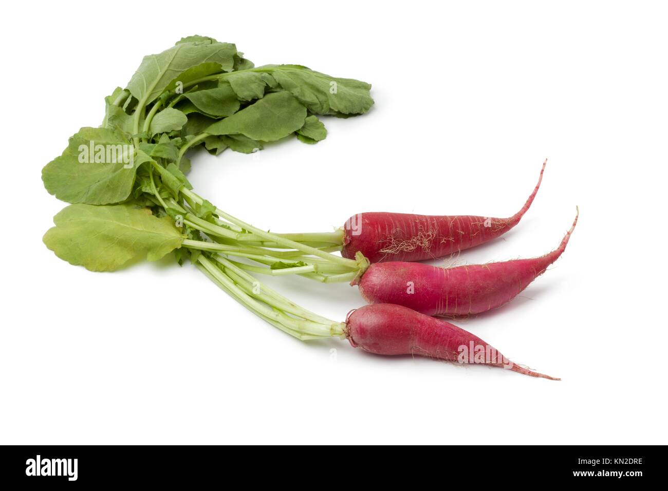 Farmers radish Cut Out Stock Images & Pictures - Alamy