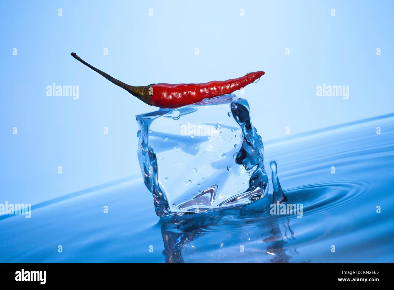 red chile on ice cube Stock Photo - Alamy