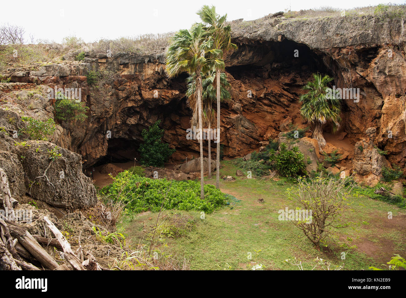 A sinkhole exposes the entrance to Makauwahi Cave near Poipu in the ...