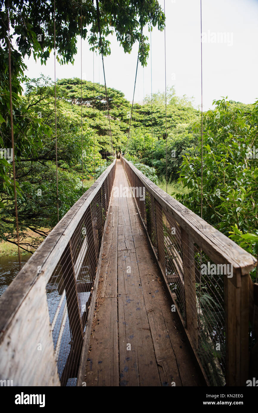Swing bridge at the Menehune Ditch on Kauai Island, Hawaii Stock Photo ...