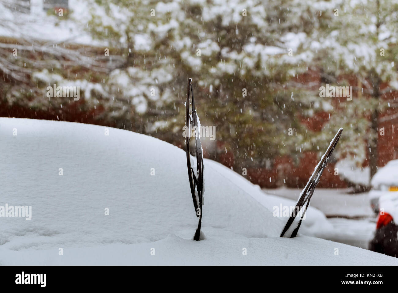 Windshield wiper of an snow covered car after heavy snowfall cars ...