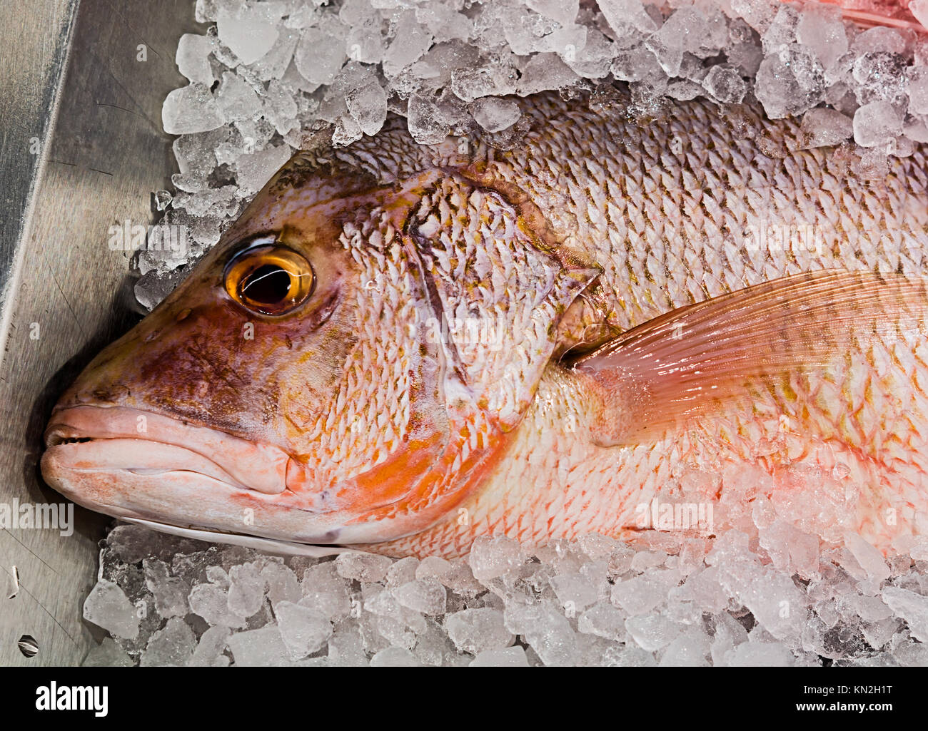 Supermarket fish counter hi-res stock photography and images - Alamy