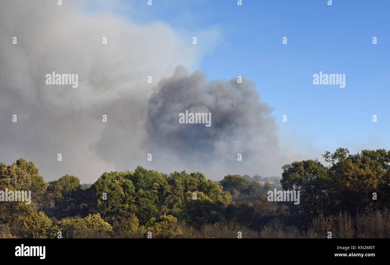 fire in Verin, Galicia,Spain Stock Photo - Alamy