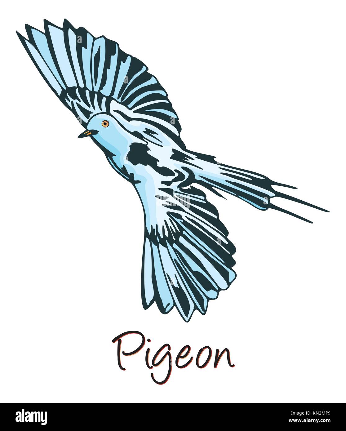 Pigeon in Flight, Color Illustration Stock Photo - Alamy