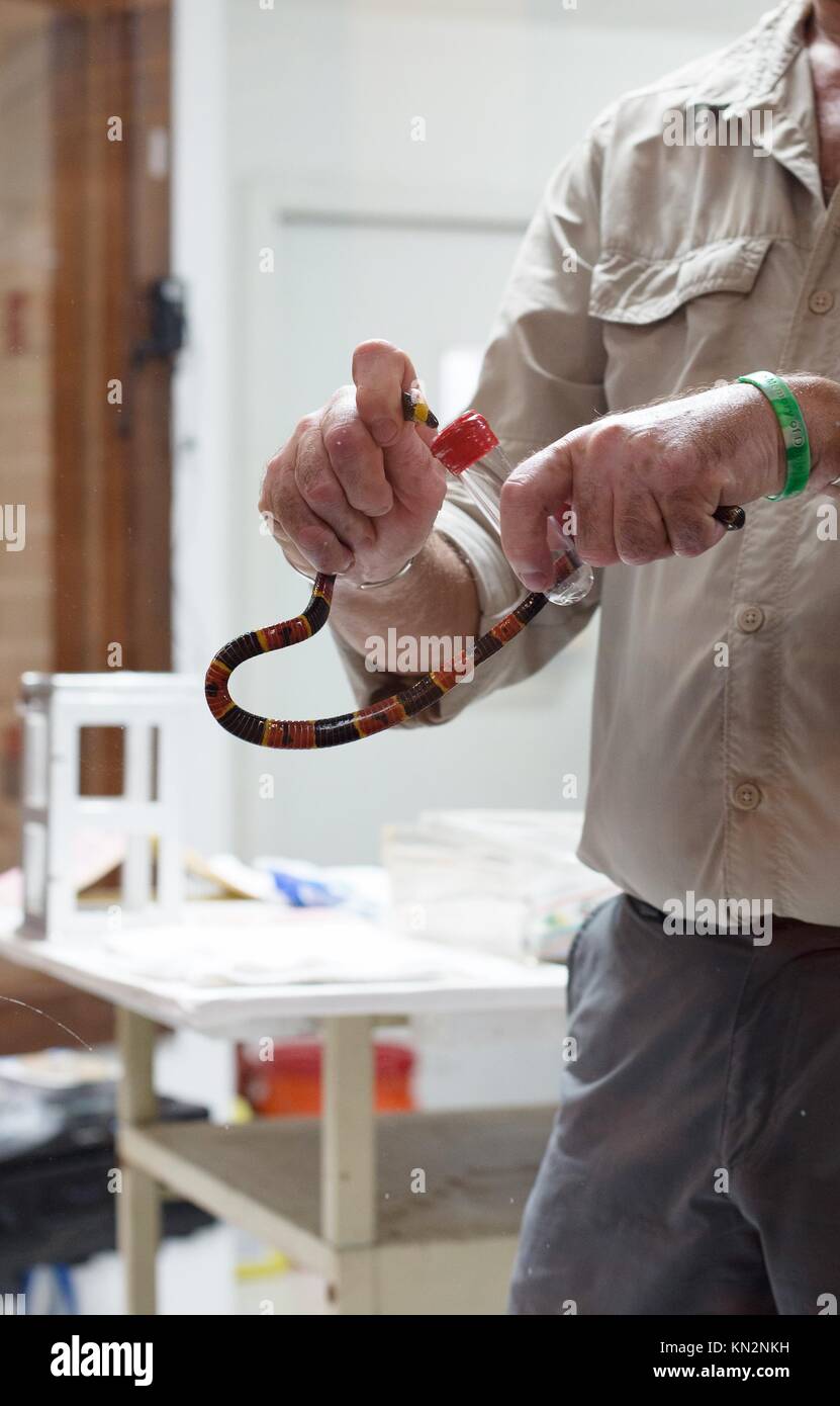 Medtoxin venom laboratories hi-res stock photography and images - Alamy