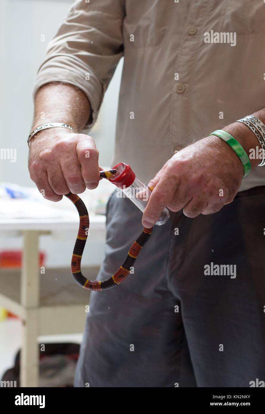 Medtoxin venom laboratories hi-res stock photography and images - Alamy